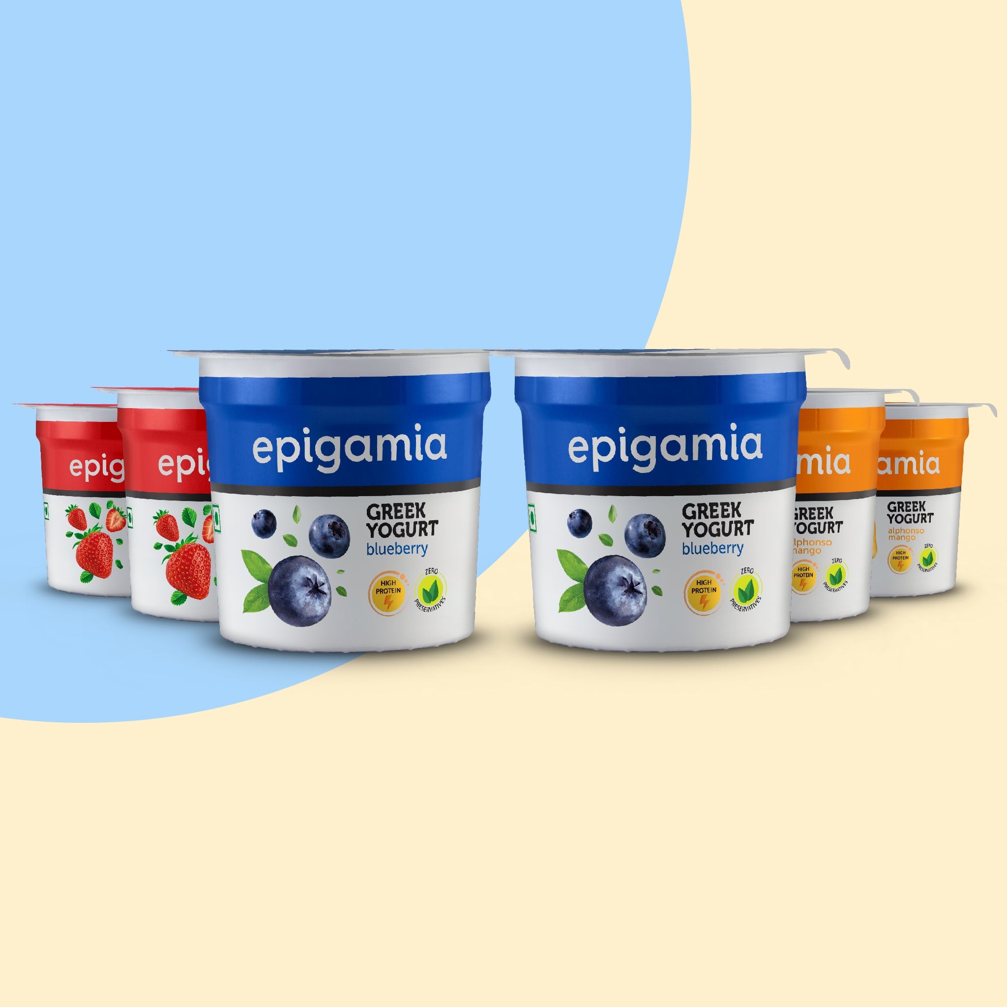 greek yogurt, blueberry, strawberry, alphonso mango - pack of 6 - Epigamia